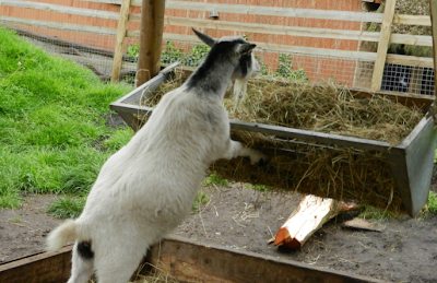 Kuweight 64: 2012-09-16