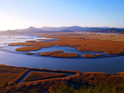 Suncheon Bay, Ecological Park in South Korea | Traveling in Indonesia