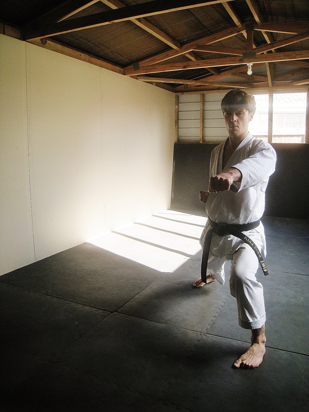 André Bertel's Karate-Do: OI-ZUKI