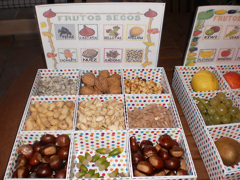 LOS PEQUES DE SARA: EL OTOÑO: DEGUSTACIÓN FRUTOS SECOS Y CARNOSOS