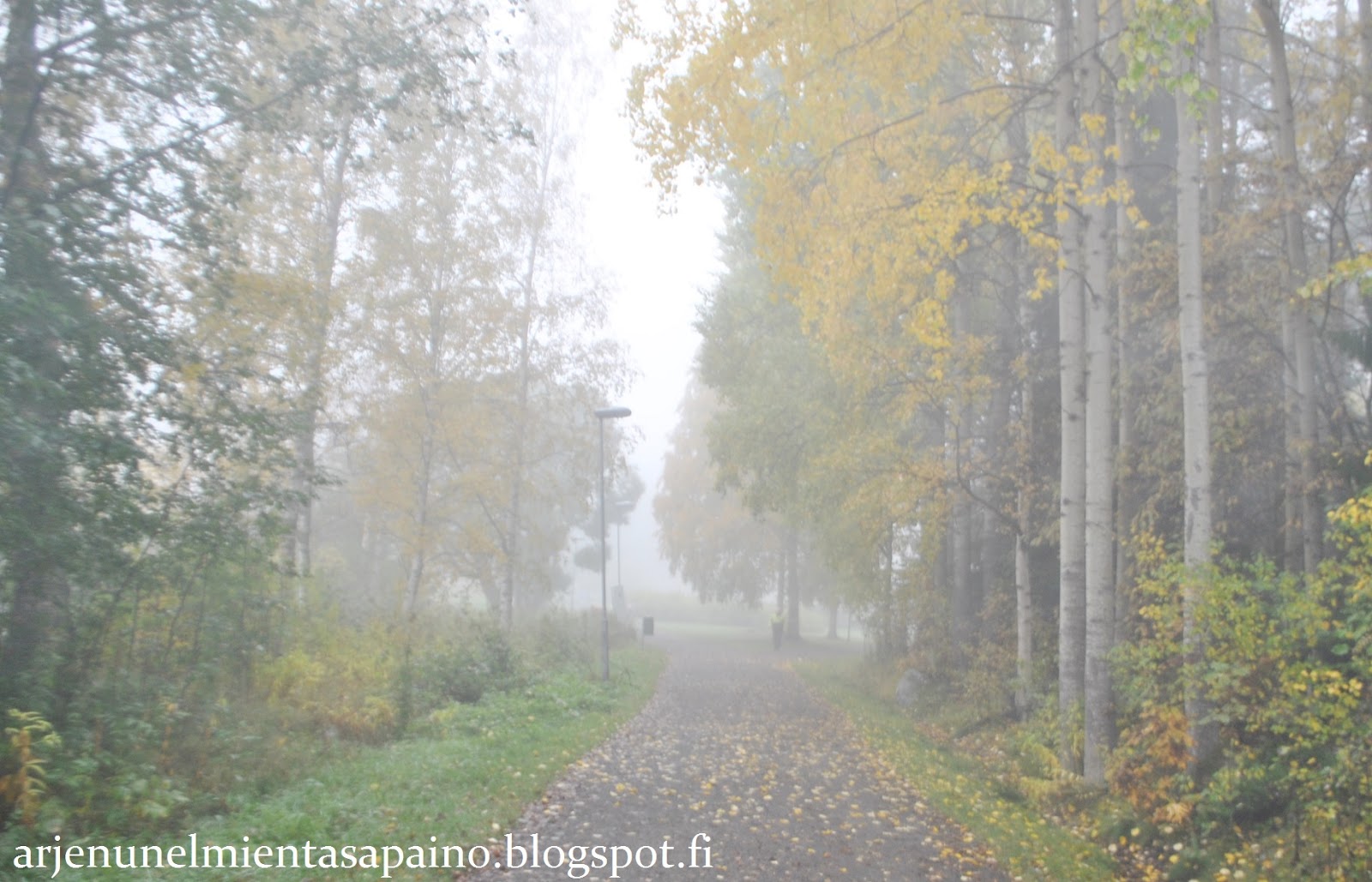 Tasapainoilua 1: Sumuisena aamuna