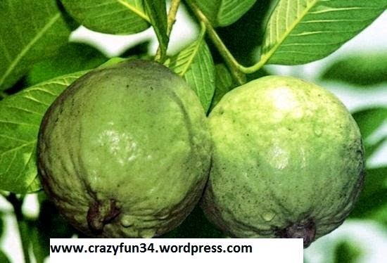 Khanki magir golpo bangla font - nimfacharlotte