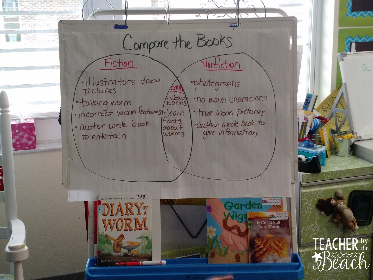 Fun with WORMS! - Teacher by the Beach