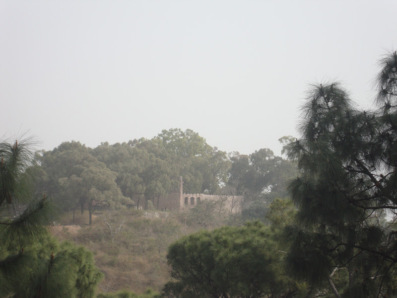 Climber & Explorer: Morni Hills & Morni Fort