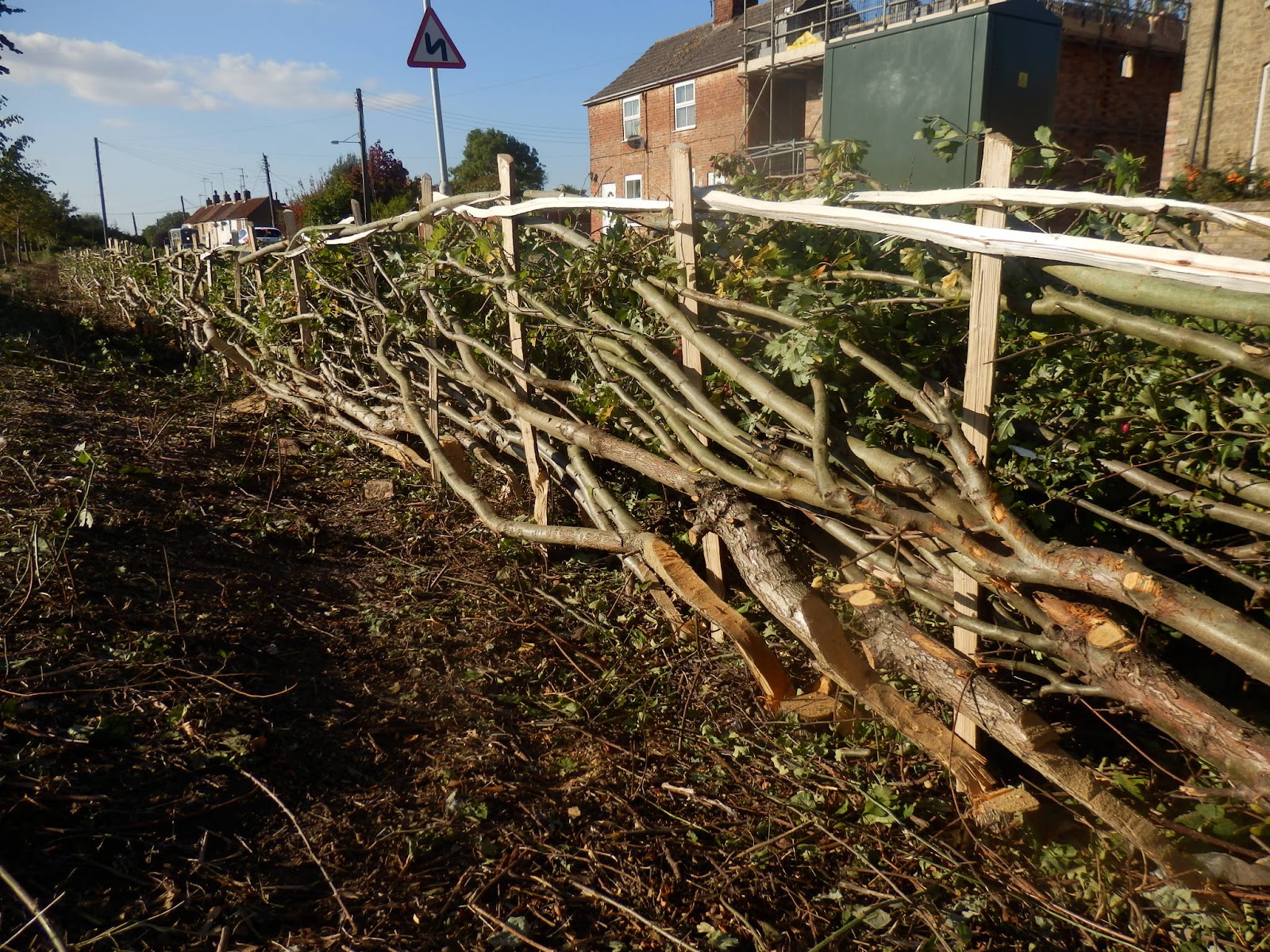 Underwood: Hedge Laying