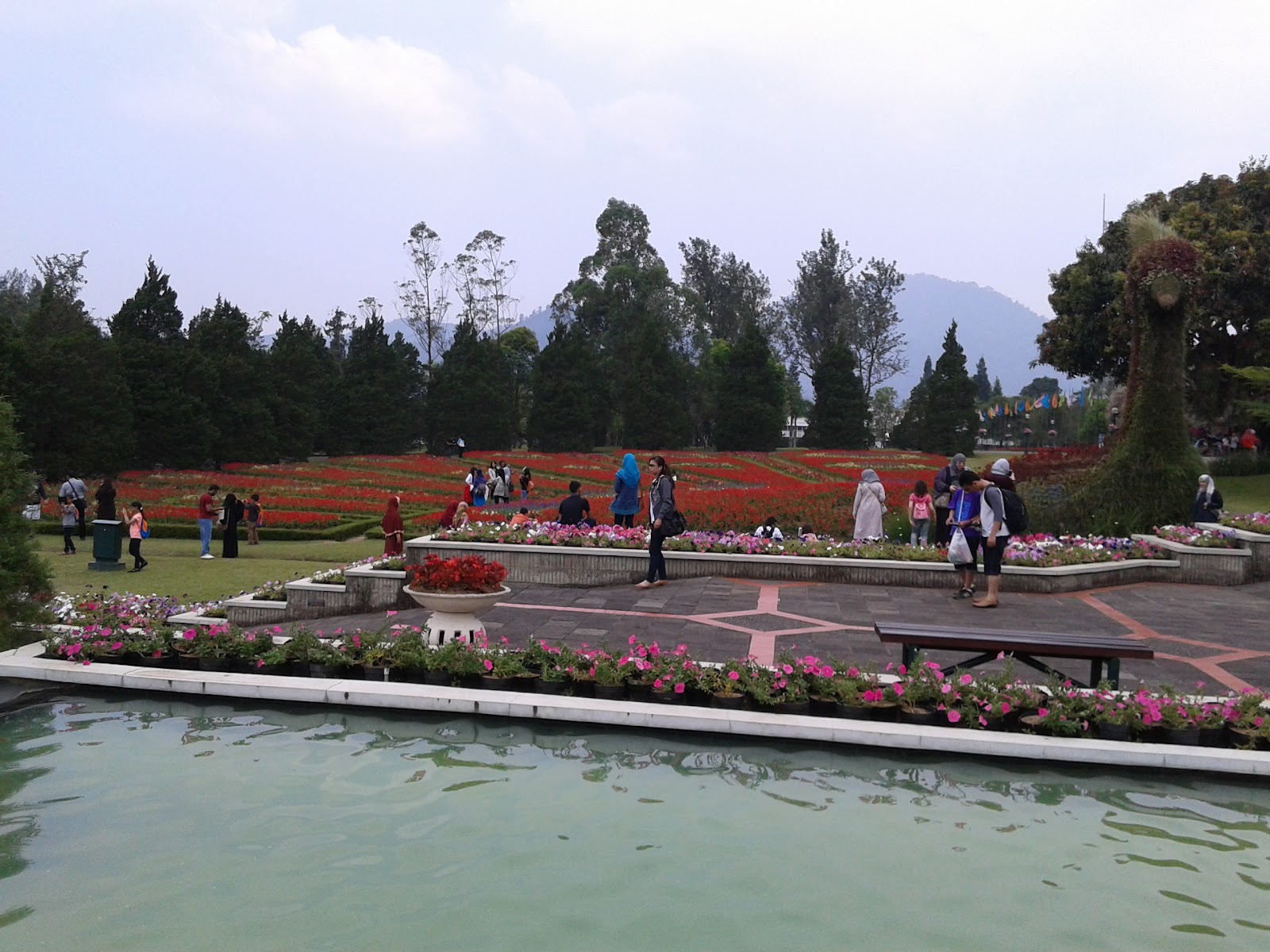 Taman Bunga Nusantara Puncak Bogor ~ Payung Rimba