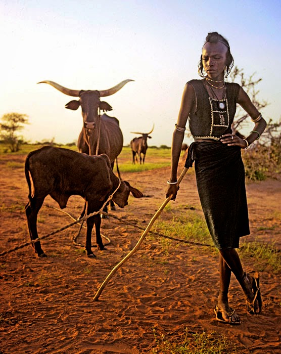 Fascinating Humanity: Sahel: Setting Sun On A Wodaabe Nomad Scene