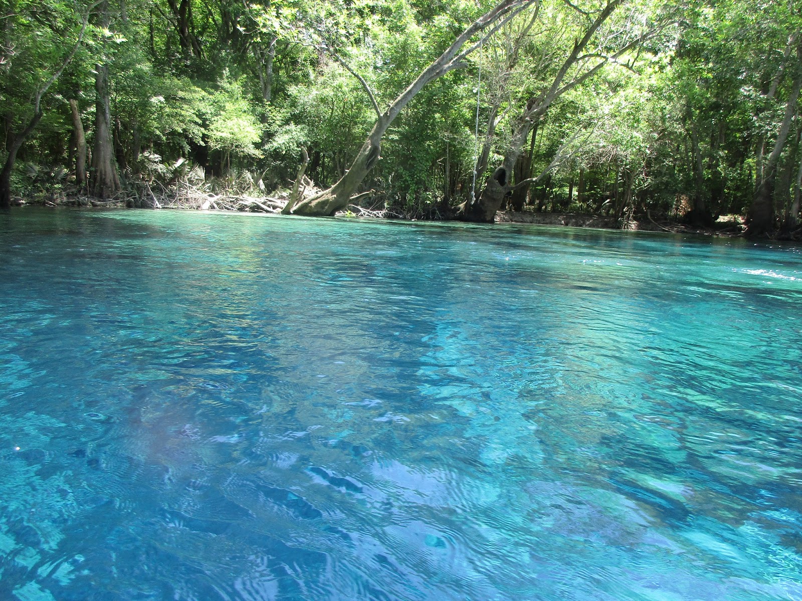 Dave's Yak Tales: Holmes Creek