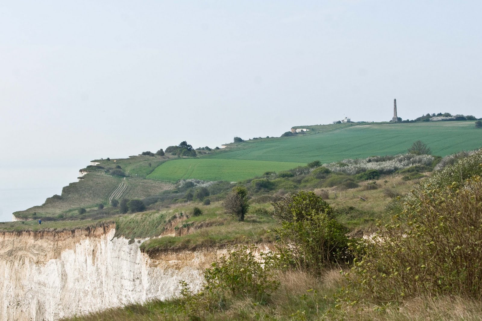 Greater Kent Birder: All Quiet on the Eastern Front