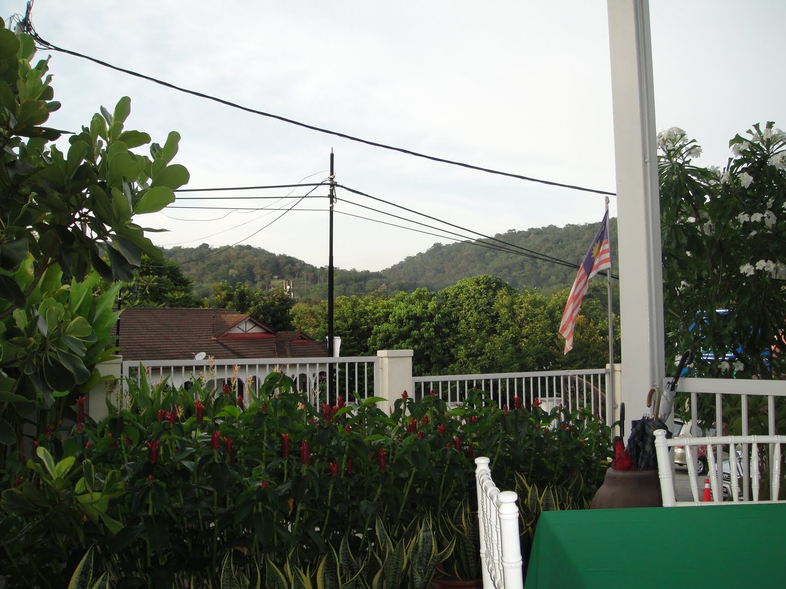 A S.t.a.r. girls: Muhibbah Seafood Restaurant