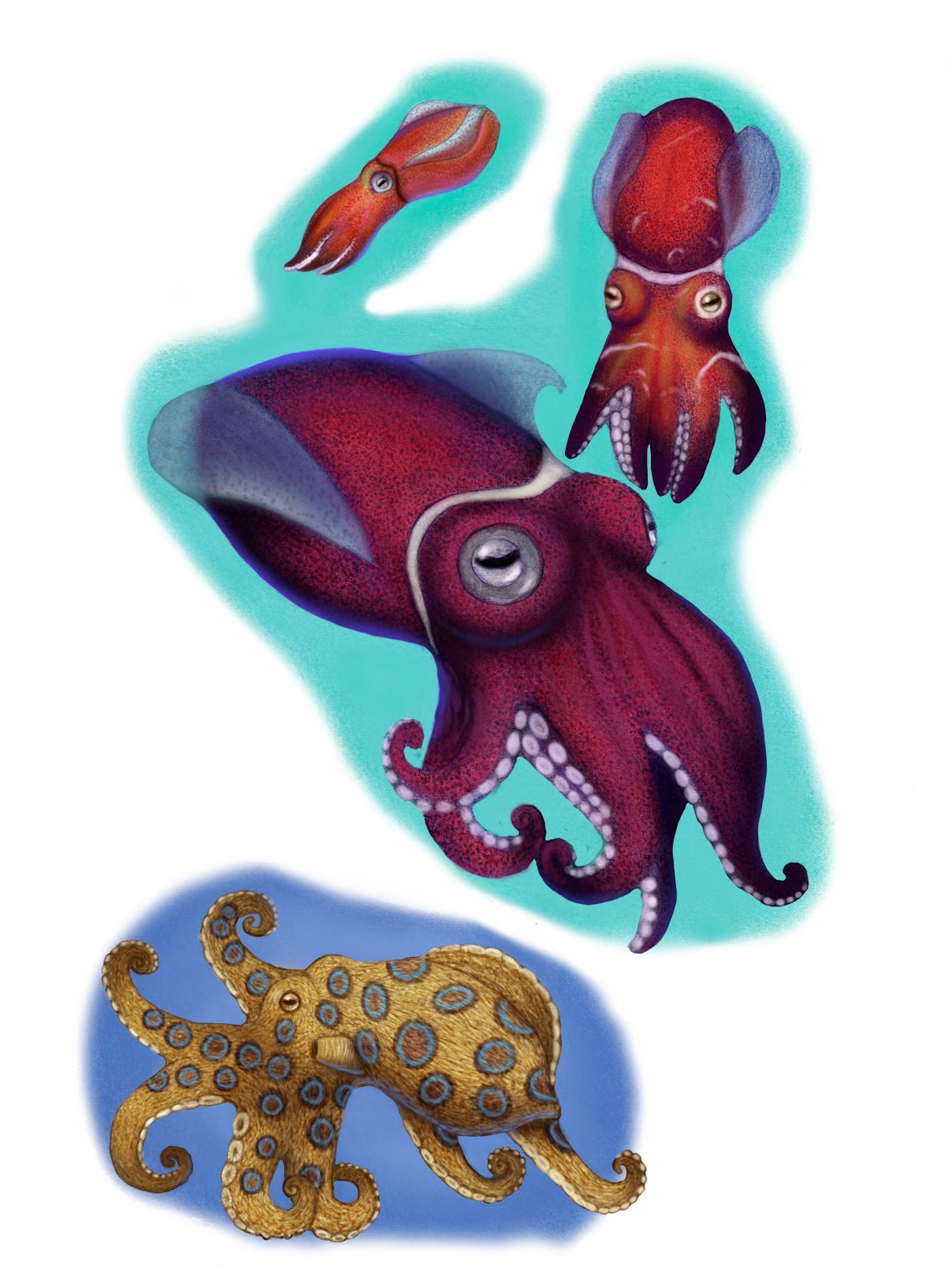 Wild and Wonderful Life on Planet Earth