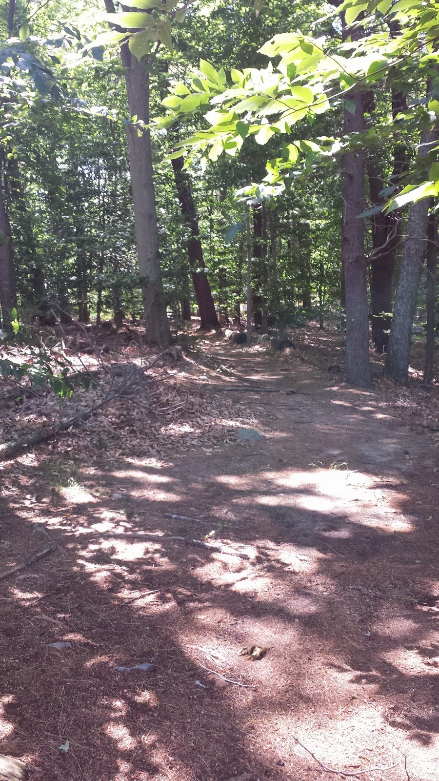 Munchkin and Bean: Nature Activities for Toddlers