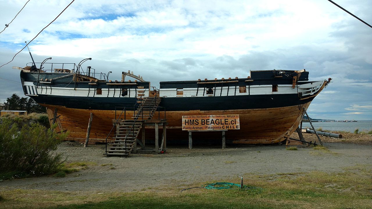 Encyclopedia of Trivia: Beagle (ship)