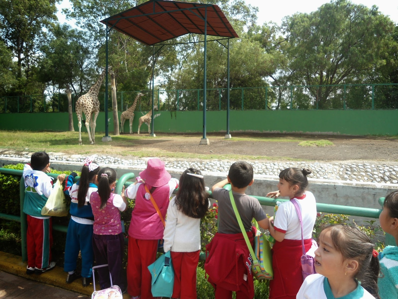 Academia Ciencias Naturales Experimentales CBT1: Visita didáctica ...