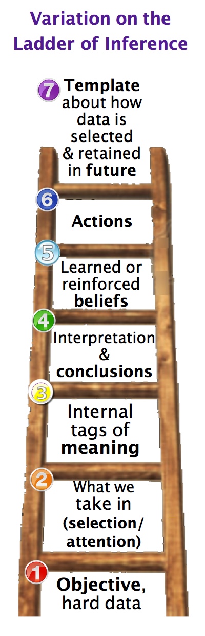 Under Much Grace: Cognitive Biases: Falling off the Ladder of Inference ...