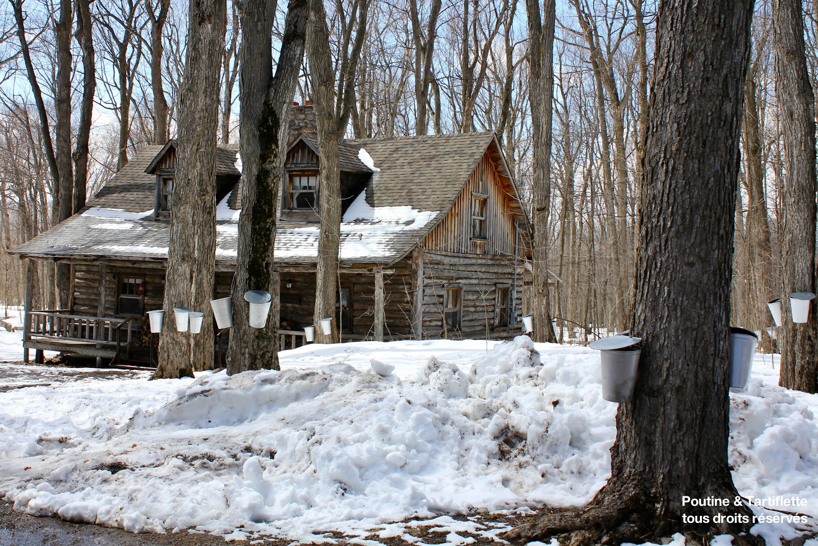 Cabane à sucre