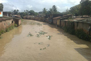 BEBERIBE NA REDE UM BAIRRO HISTÓRICO DO RECIFE: A ORIGEM DA PALAVRA ...