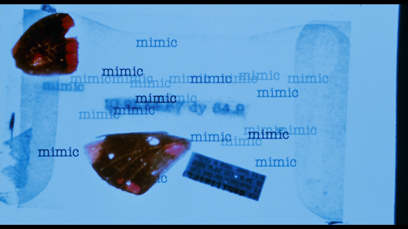 Cinematic Autopsy: "Mimic: Three Film Set (1997,2001,2003/Blu-ray ...