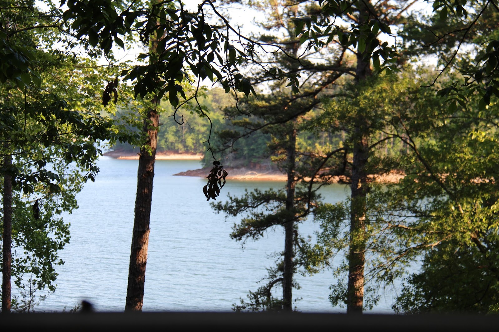 Cadernos de viagem: Lago Lanier: um lago artificial … que parece natural