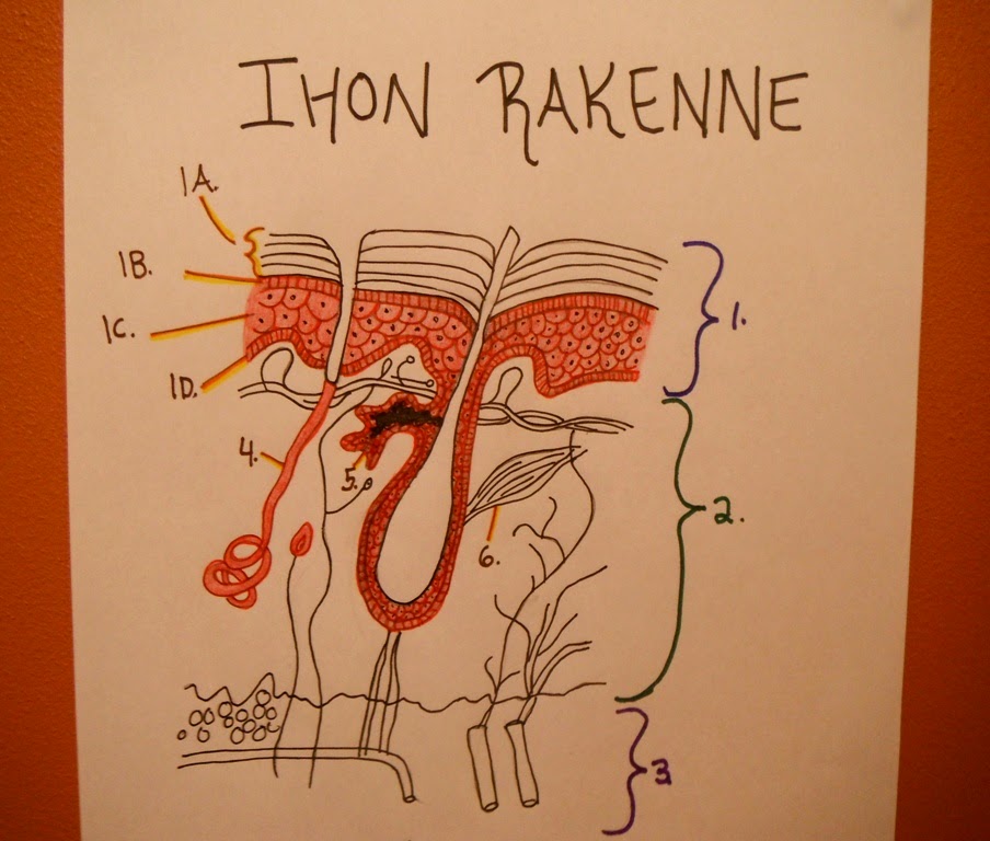 Up in the Hair: lokakuuta 2014