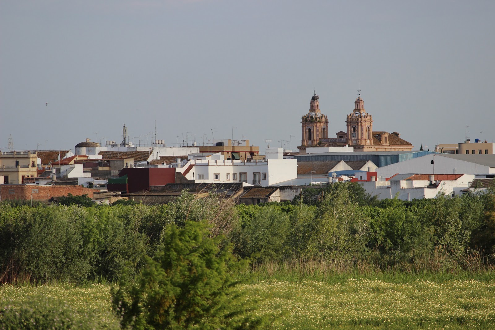 Las Cositas de mi pueblo... TOCINA : Tocina, y su Parroquia única.