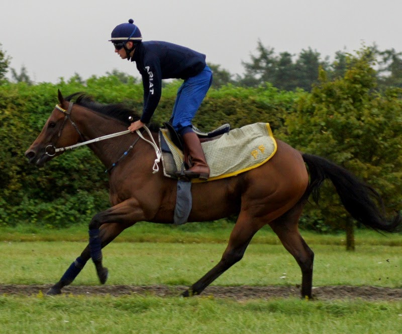 Julia Feilden Racing: No shirking from Ducking