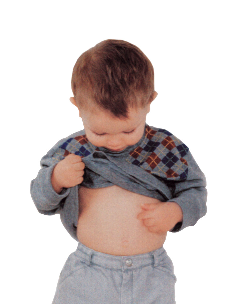 El blog de Alcia Servicios