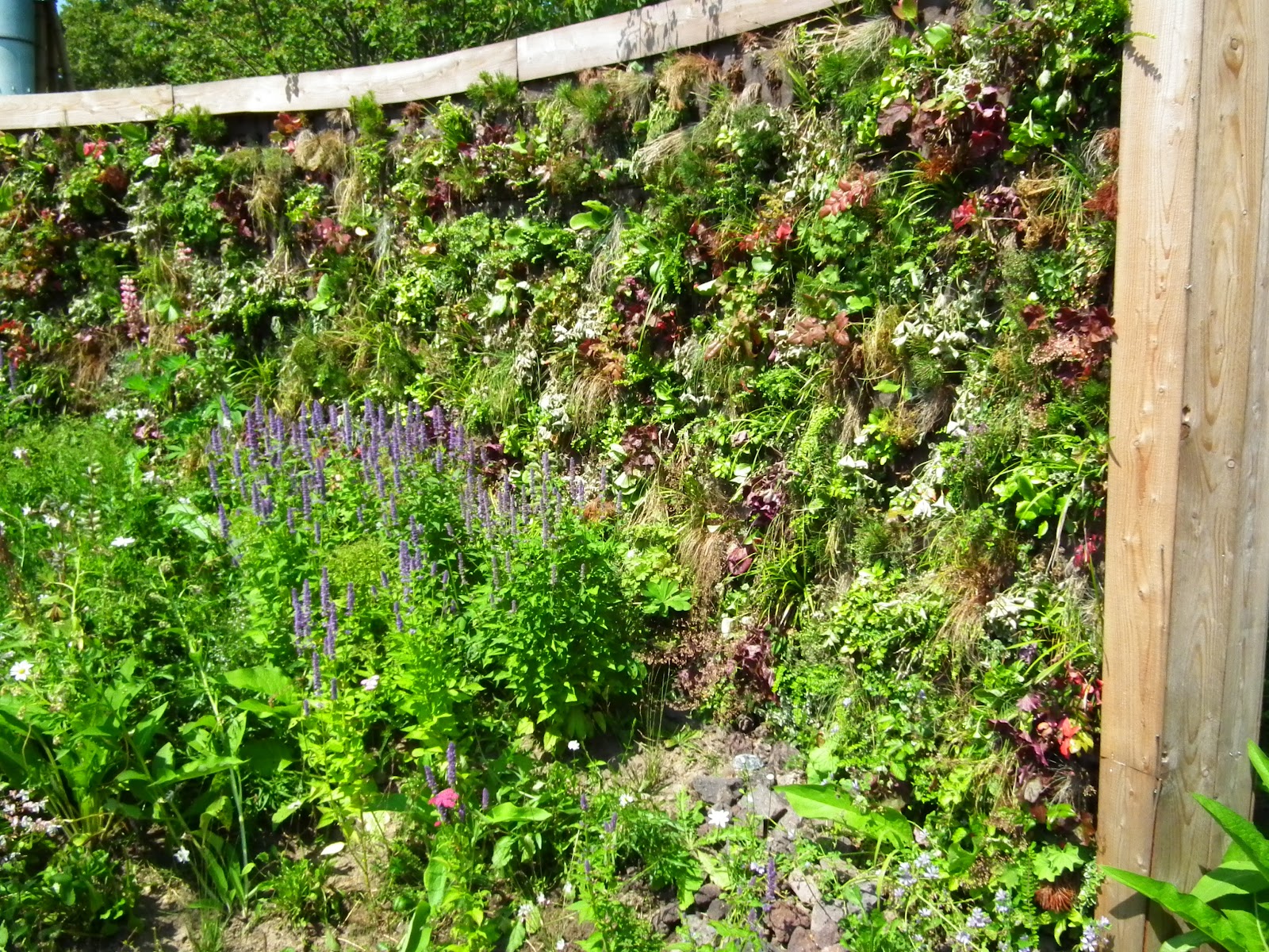 Tuinweetjes: TUINAFSCHEIDINGEN