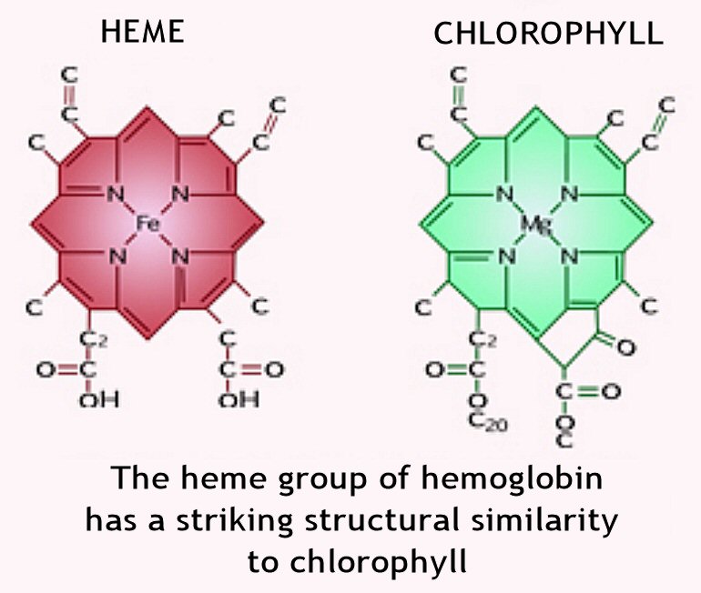 Living Like You Mean It