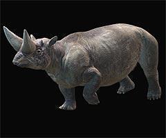 BADAK BERCULA 2 ~ Kumpulan Hewan Yang akan punah dan sudah punah