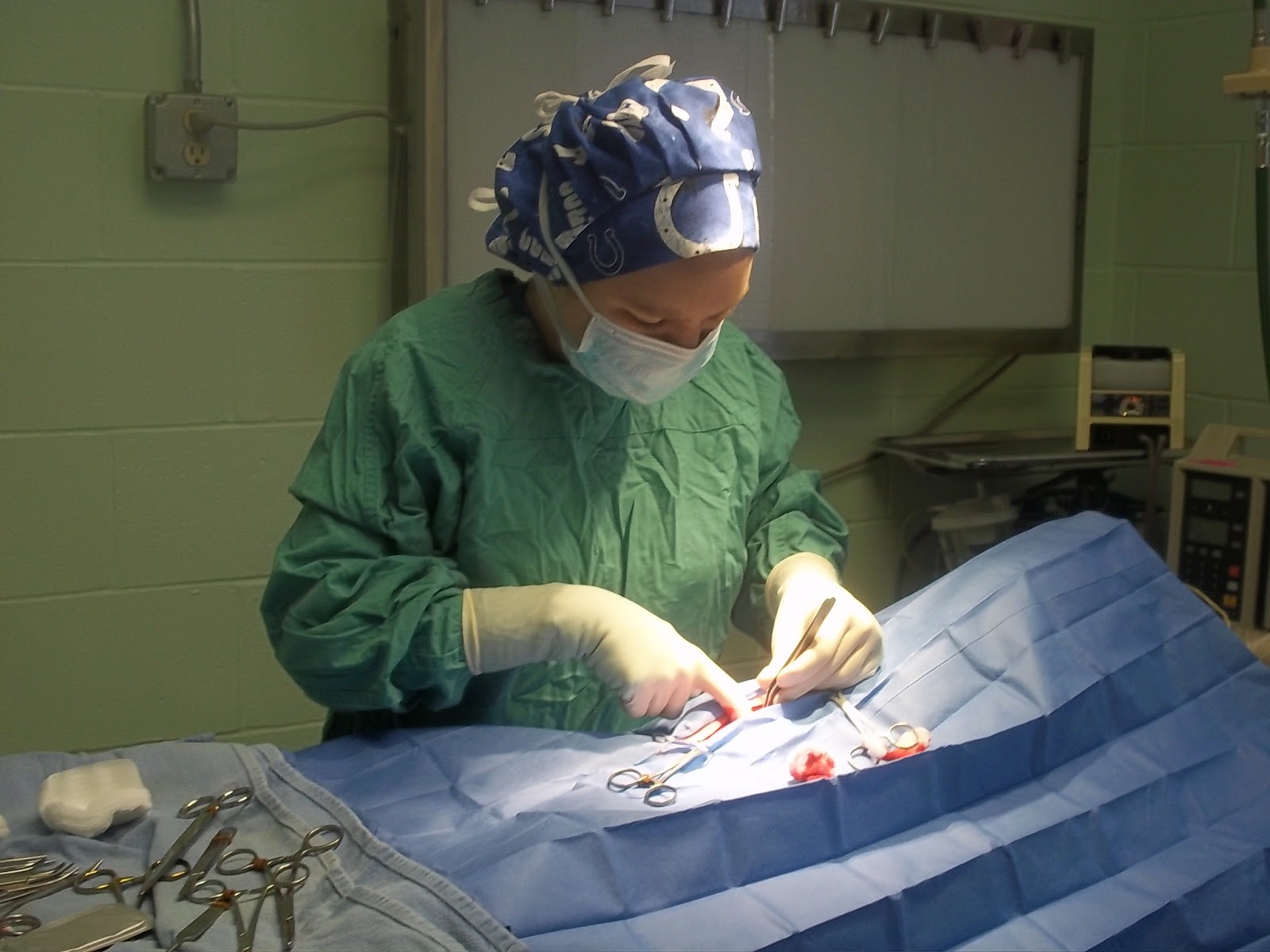 Noah's Animal Hospitals