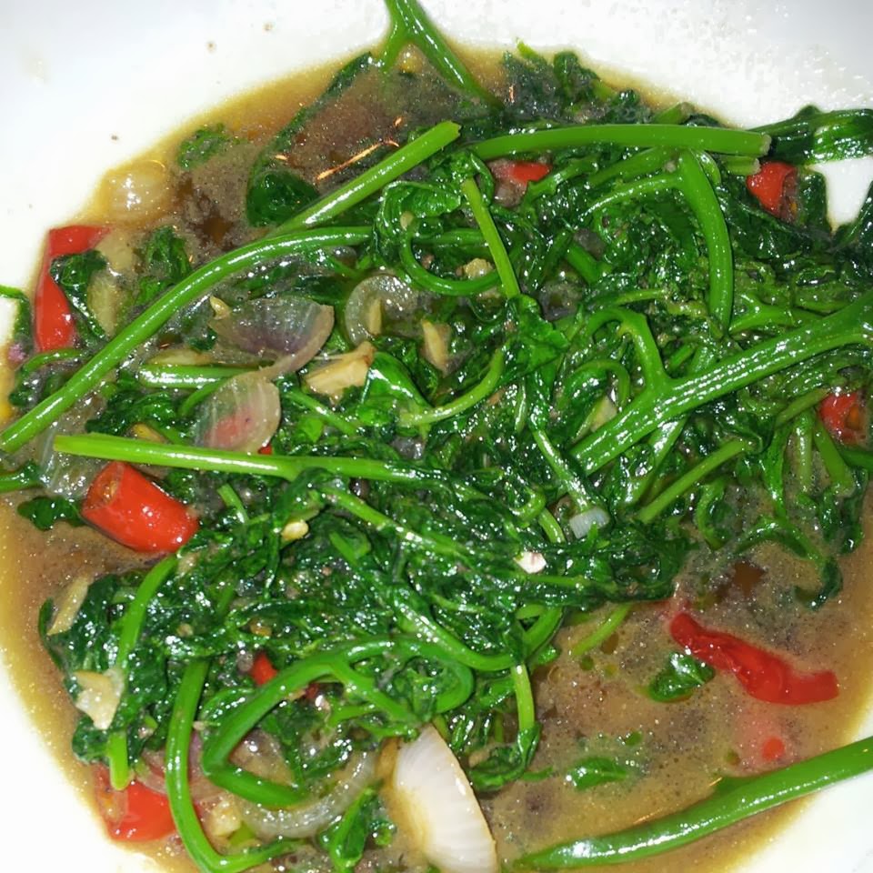 Jess-KITCHEN-Lab: Stir-fried Paku Pakis with Belachan