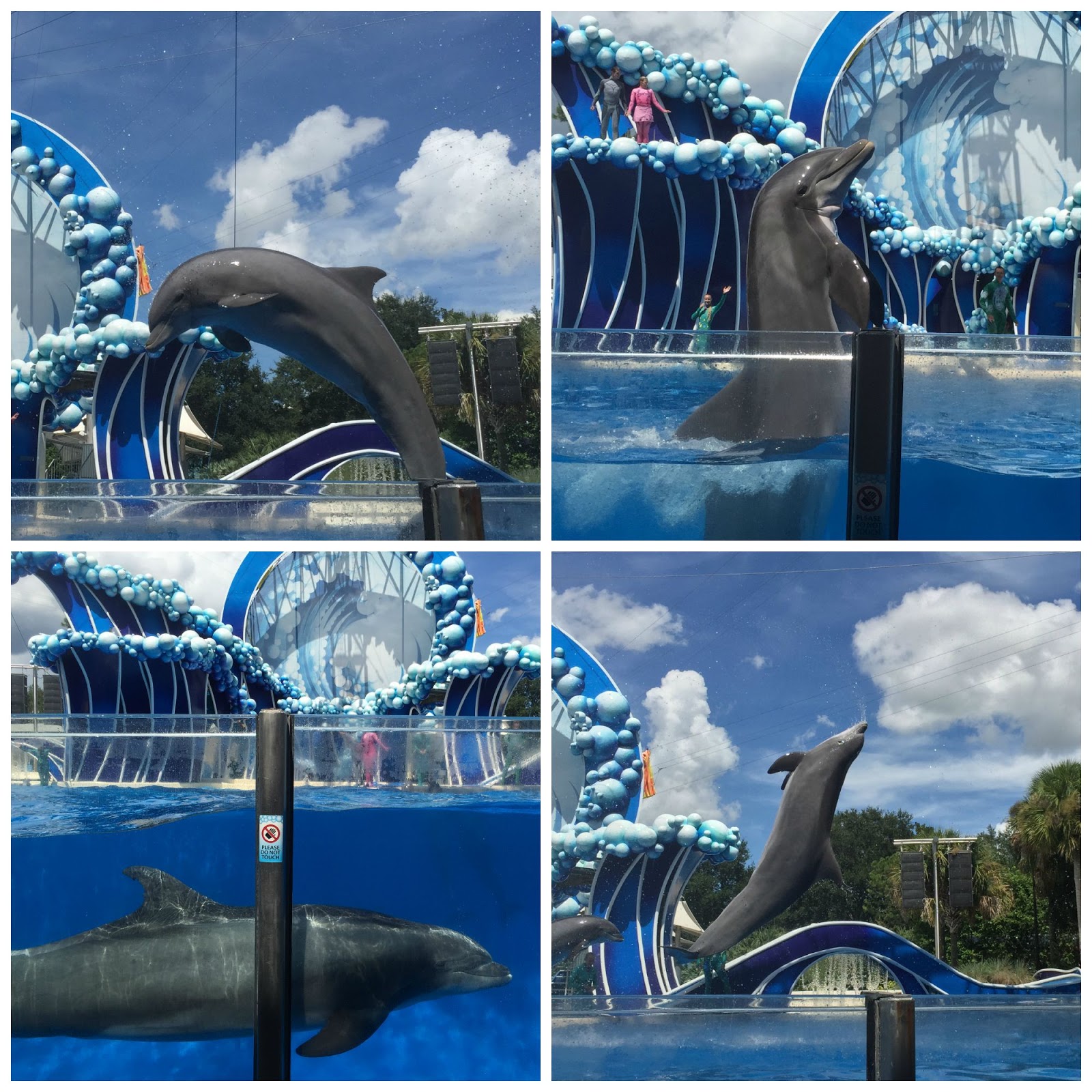 Mommy's Favorite Things: Our Day at SeaWorld Orlando