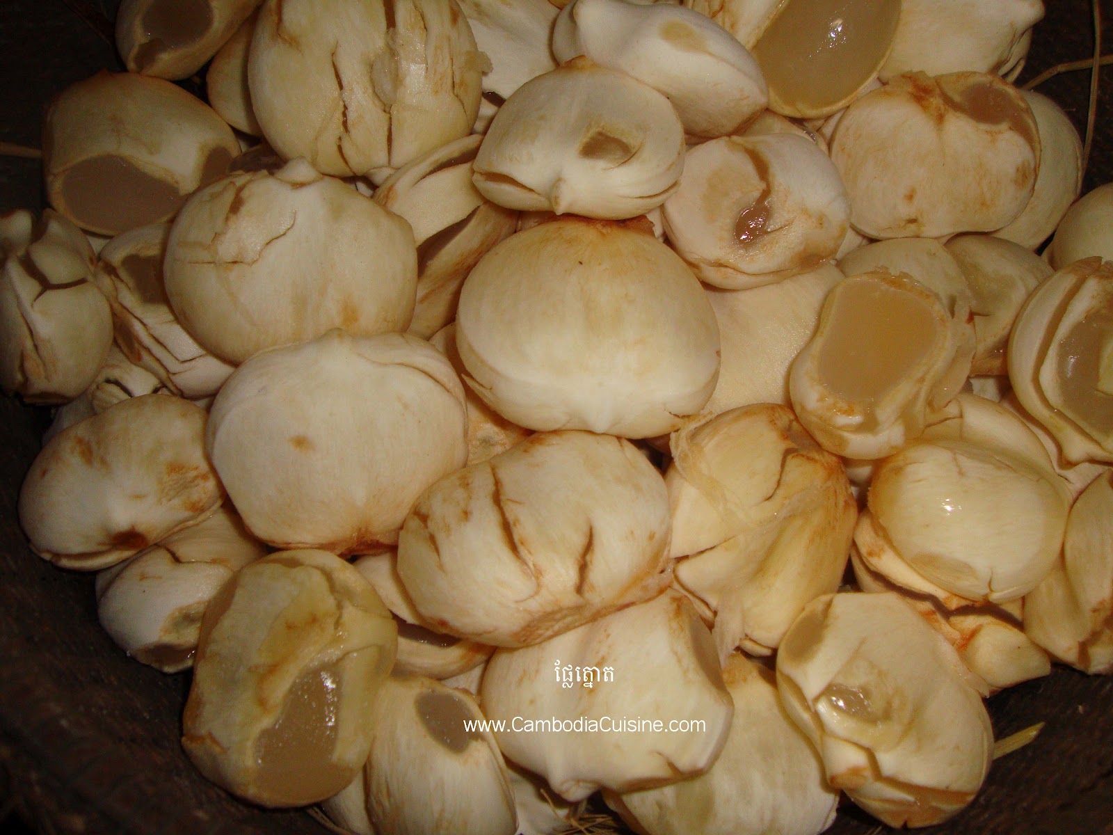 Food in Cambodia and Cuisine in Cambodia: Food Ingredients - Tropical ...