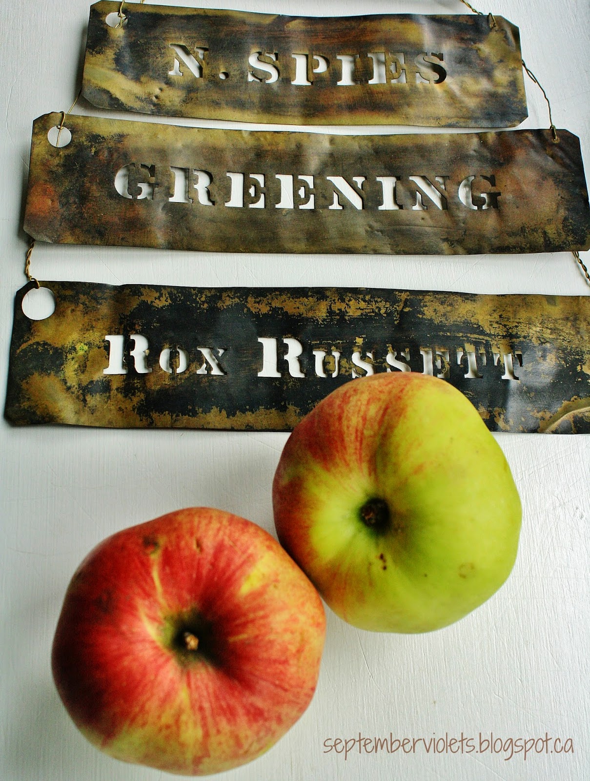 September Violets: Old-Fashioned Apples