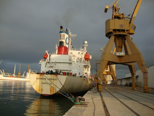El mundo del Marine Surveyor (Capt.V.Massey): Buques dedicados al ...
