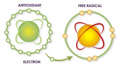 PENGERTIAN DAN JENIS-JENIS ANTI OKSIDAN | Beauty With Herb