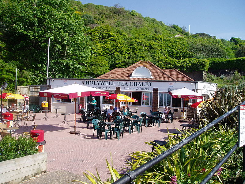 Wellcome Allotment : The Italian Garden Holywell Eastbourne