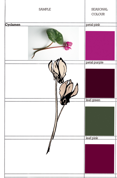 Planet Sam: Colour from the season - Cyclamen pink