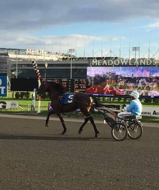 Harness Racing in the UK: An interview with...John Henry Nicholson