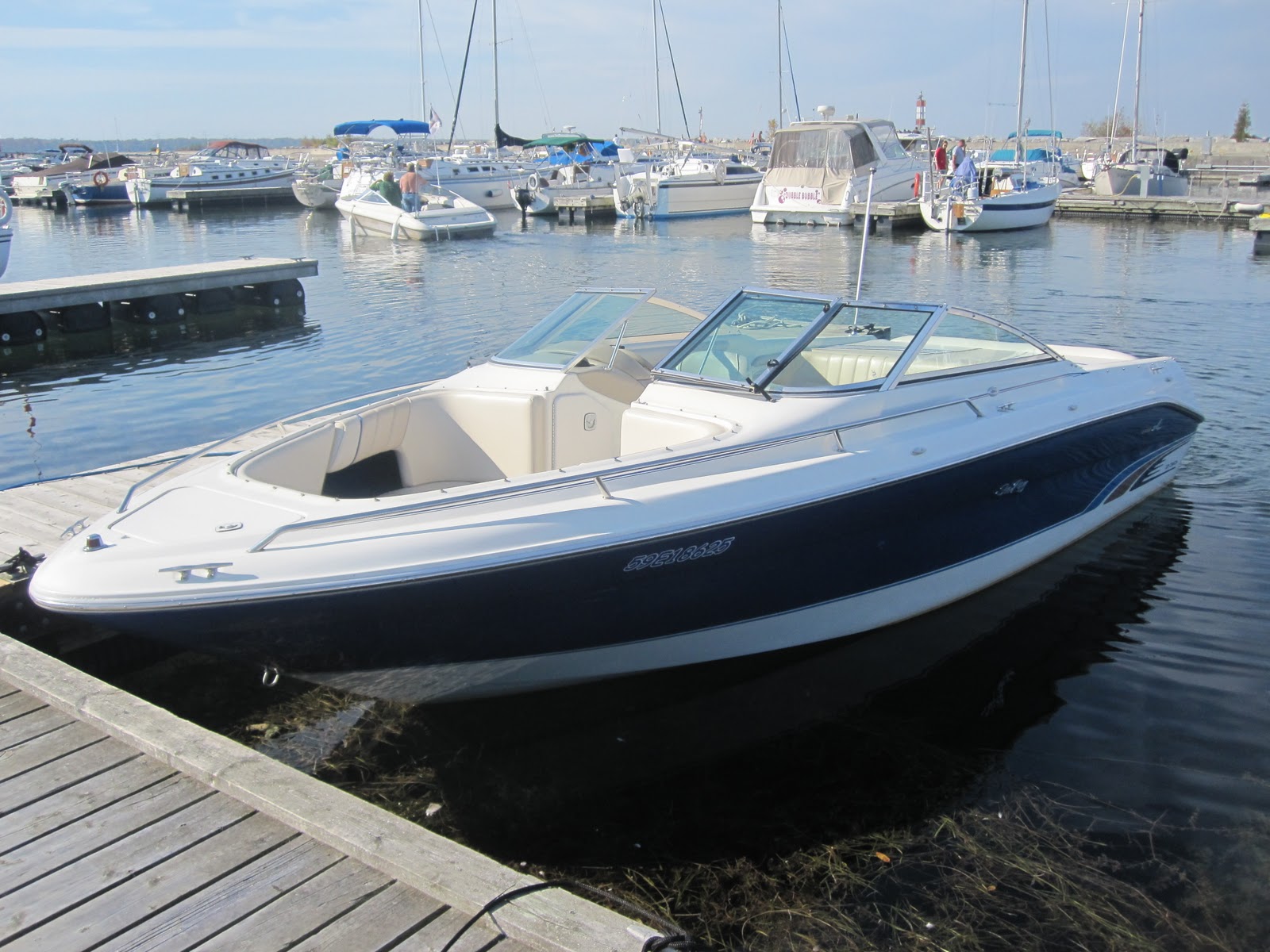 Sea Ray 230: Sea Ray 230 Signature