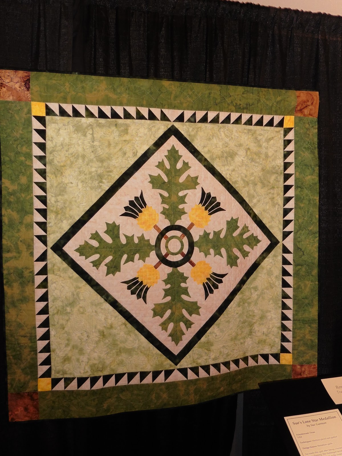 Come Quilt (Sue Garman): 2017