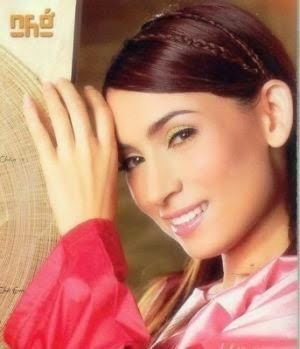 Amerasians/ Eurasians Forum: Phi Nhung: Our Other Amerasian Diva of ...