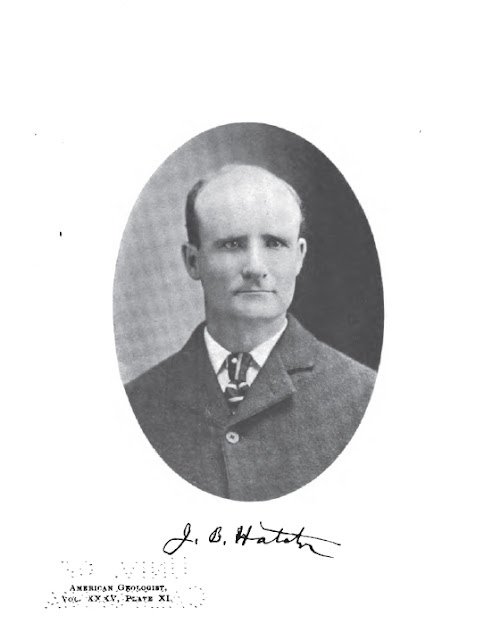 Fossils and Other Living Things: Waiting in the Wings for a Long Time