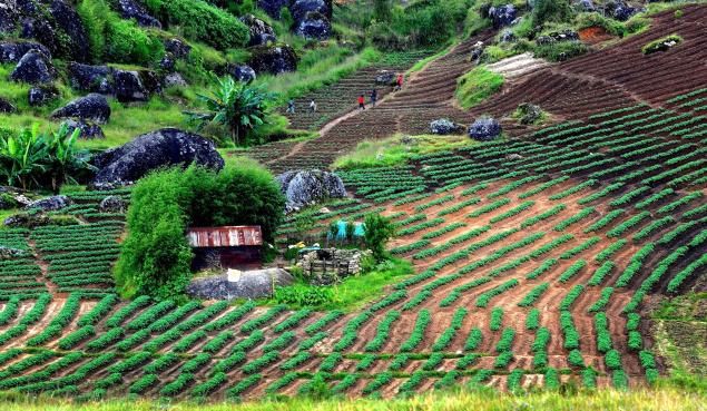 Explore Meghalaya – Food and Culture - Smart Village Movement