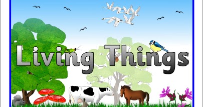 .: Unit 4 Living things