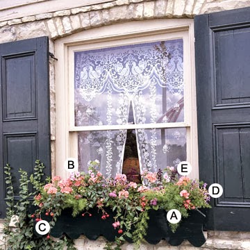 New Home Interior Design: Easy, Beautiful Window Boxes for Sun