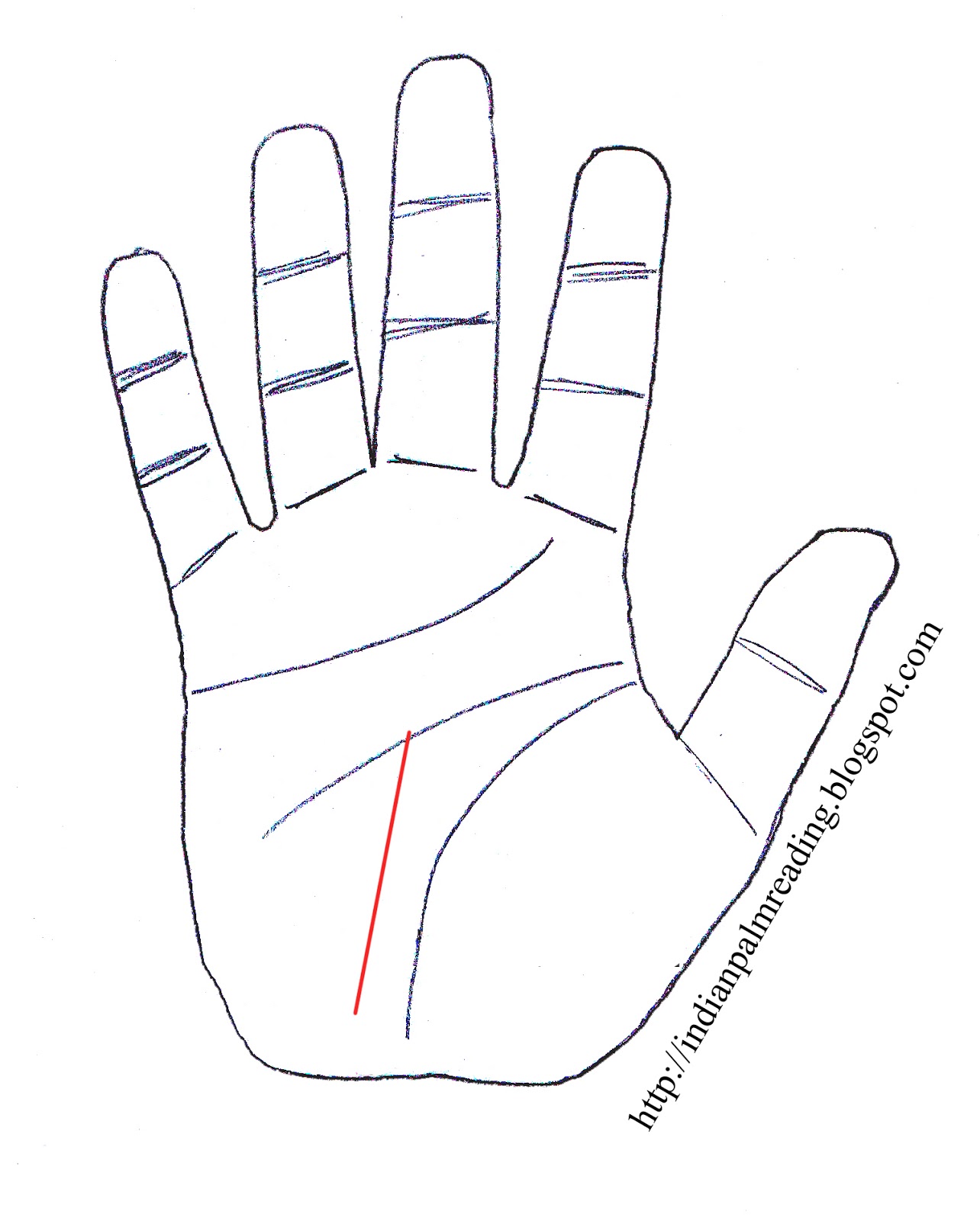 Meaning of Fate Line In Indian Palmistry ~ INDIAN PALMISTRY | PALM ...
