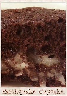 Four Miles North of Nowhere: Earthquake cupcakes...