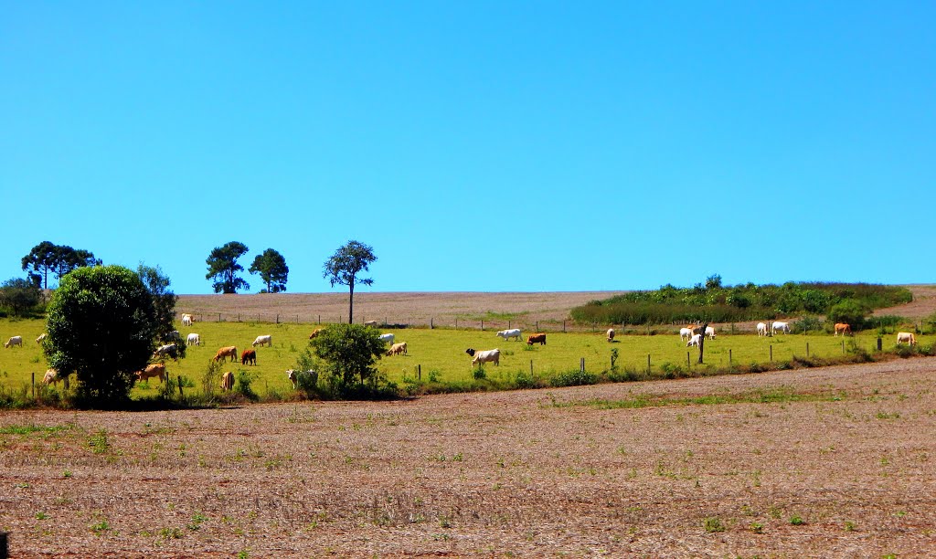 VIAGEM, TURISMO E AVENTURAS POR LUGARES INCRÍVEIS : ZORTÉA / SANTA ...